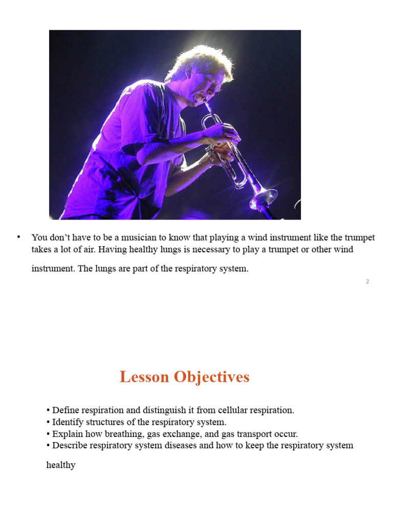 3.lessons 21-22, Respiratory System, PP 446-456 | PDF | Respiratory ...