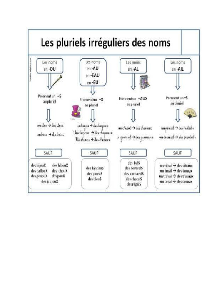 Pluriel Irrégulier | PDF