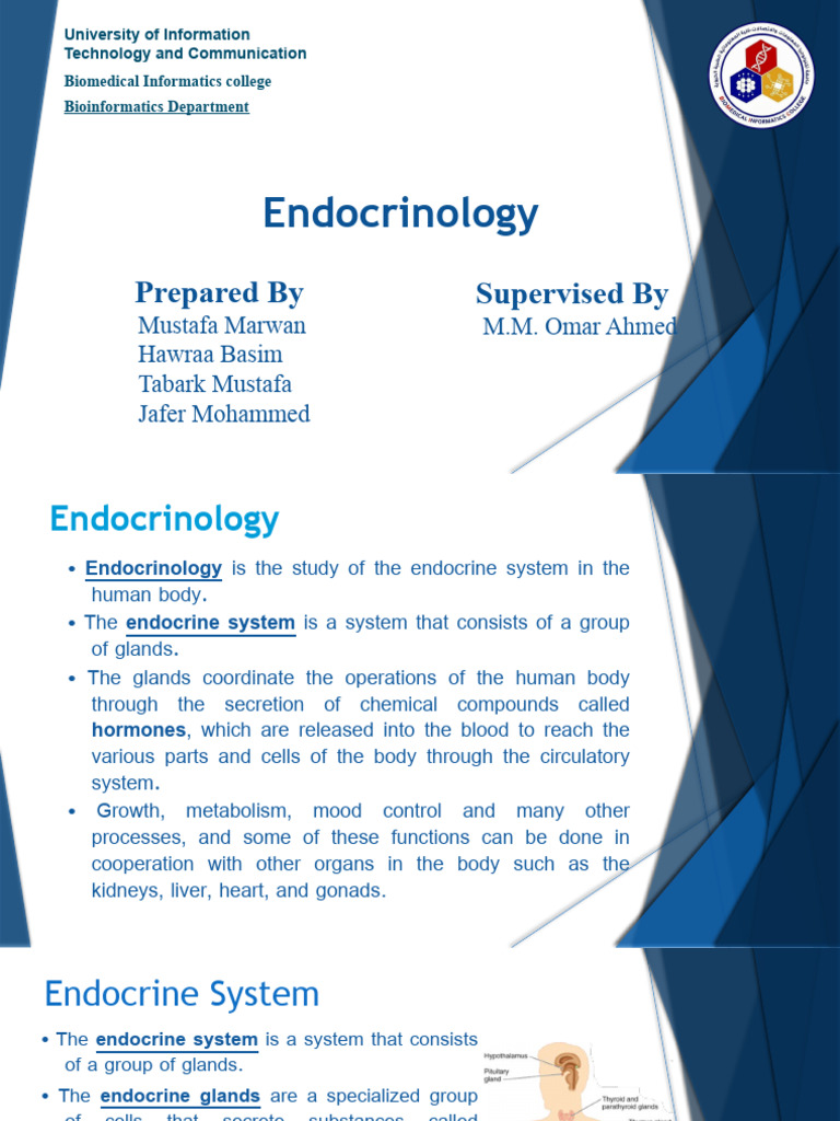 Endocrinology | PDF | Endocrine System | Pancreas