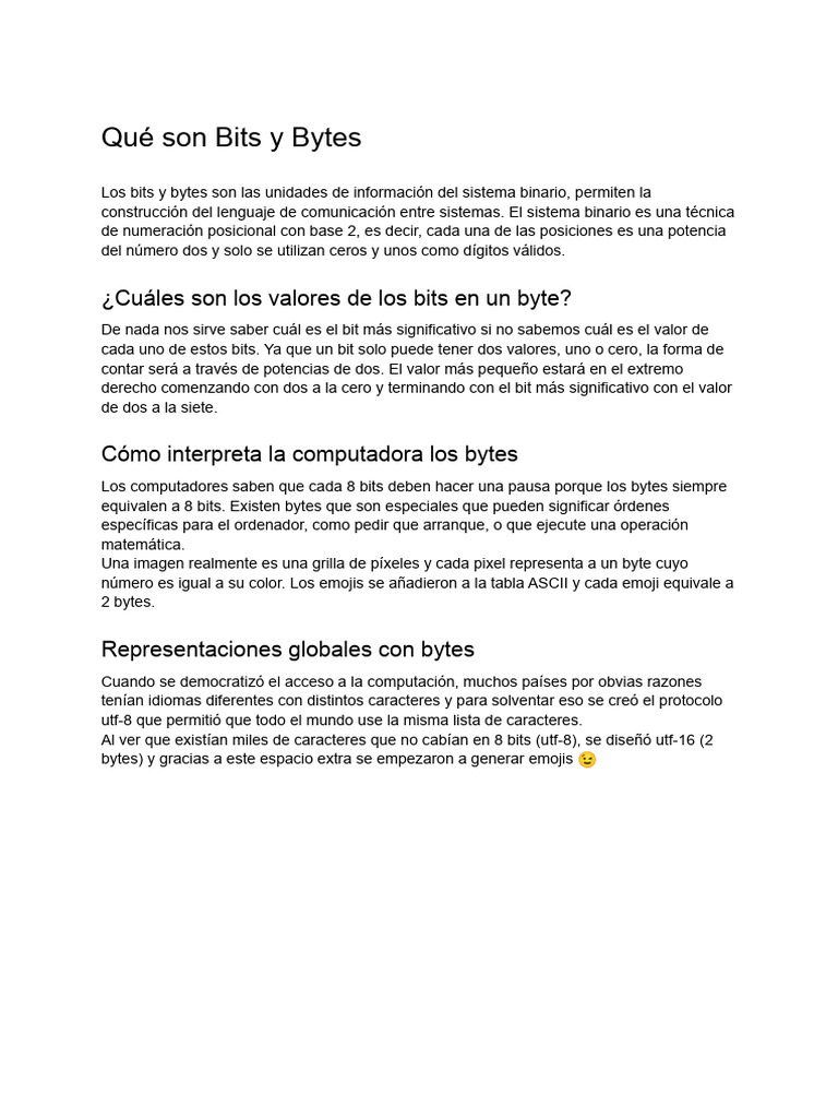 Qué Son Bits y Bytes | PDF | Informática