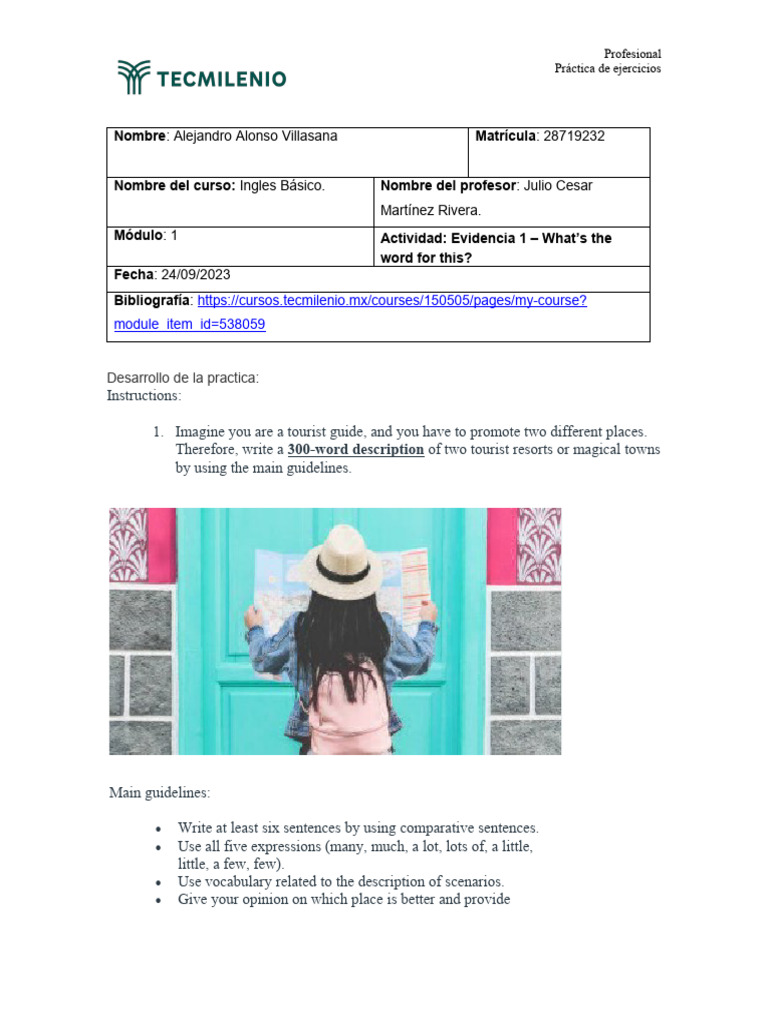 Evidencia1 English Aav 2871923 | PDF