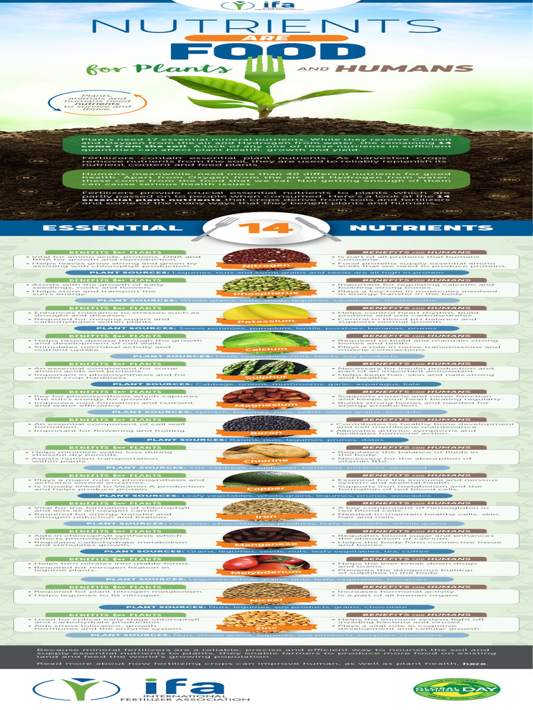 2018 IFA Infographic Nutrients Are Food For Plants And-Humans 03 | PDF