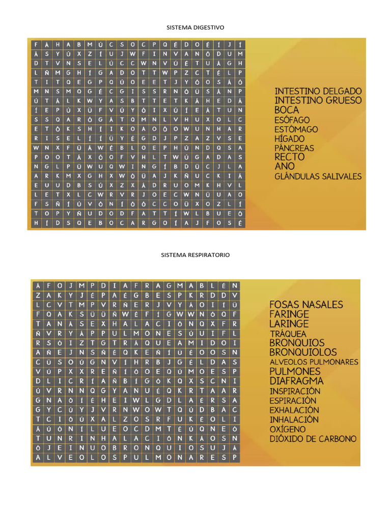 Sopas de Letras Sistemas | PDF Sopas de Letras Sistemas | PDF
