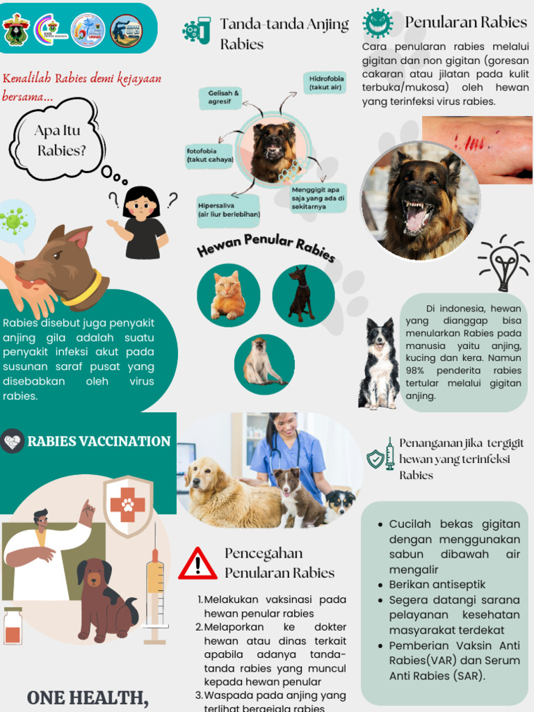 Penularan dan Tanda Rabies pada Manusia | PDF