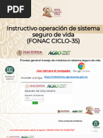 Siof Con Instruc. | PDF | Reaseguro | Agricultura