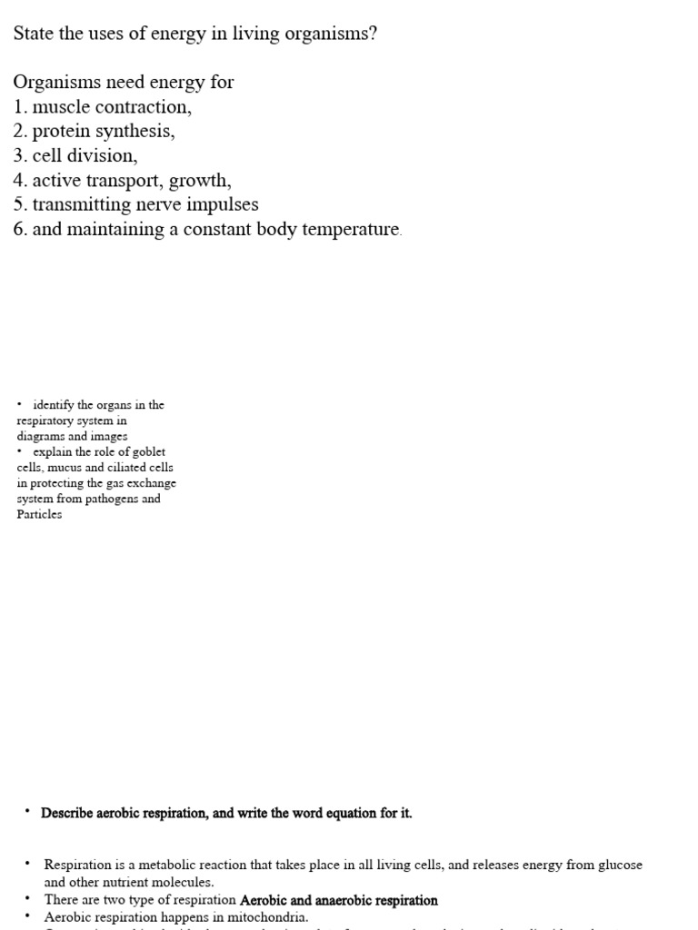 Respiratory System | PDF | Breathing | Lung