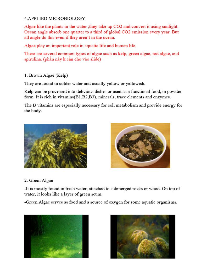 Algae Like The Plants in The Water | PDF