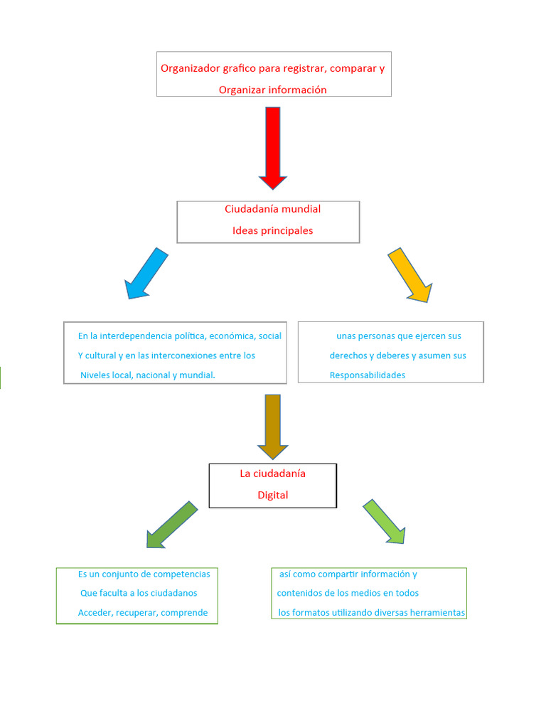 Organizador Grafico para Registrar | PDF