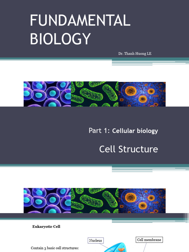 Lecture 2 Cell Structure | PDF Lecture 2 Cell Structure | PDF