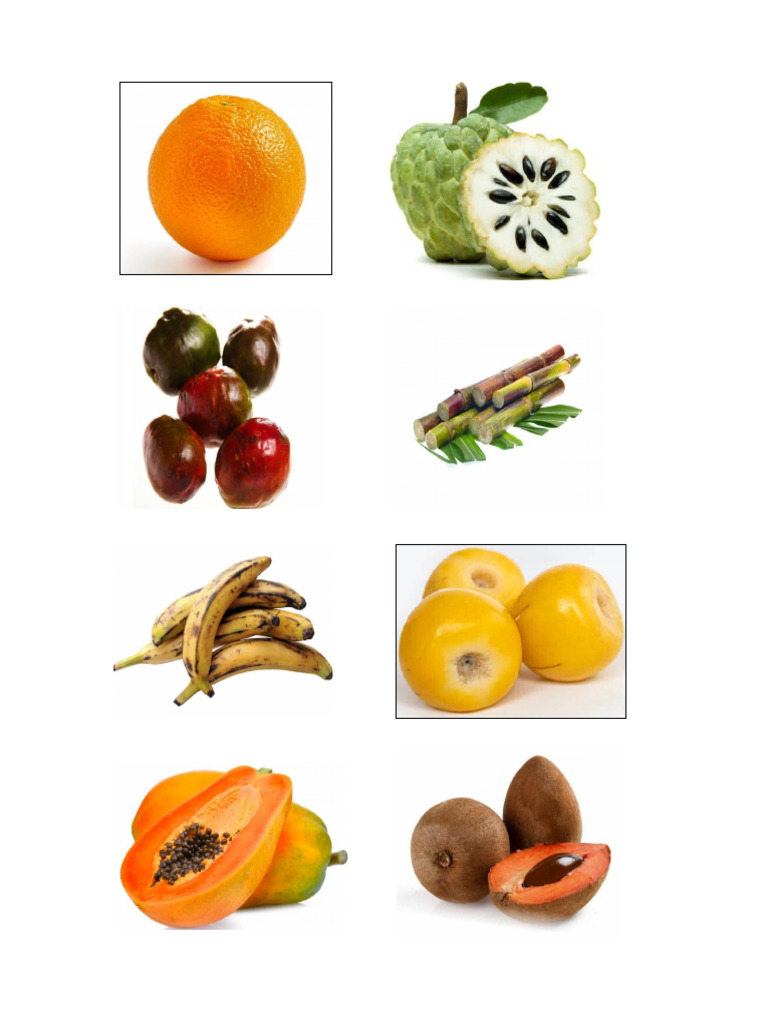 Naranja Anona Jocote Caña Platano Nance Papaya Zapote Zunza Paterna ...