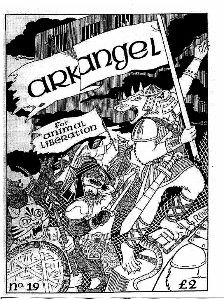 Arkangel #19 | PDF