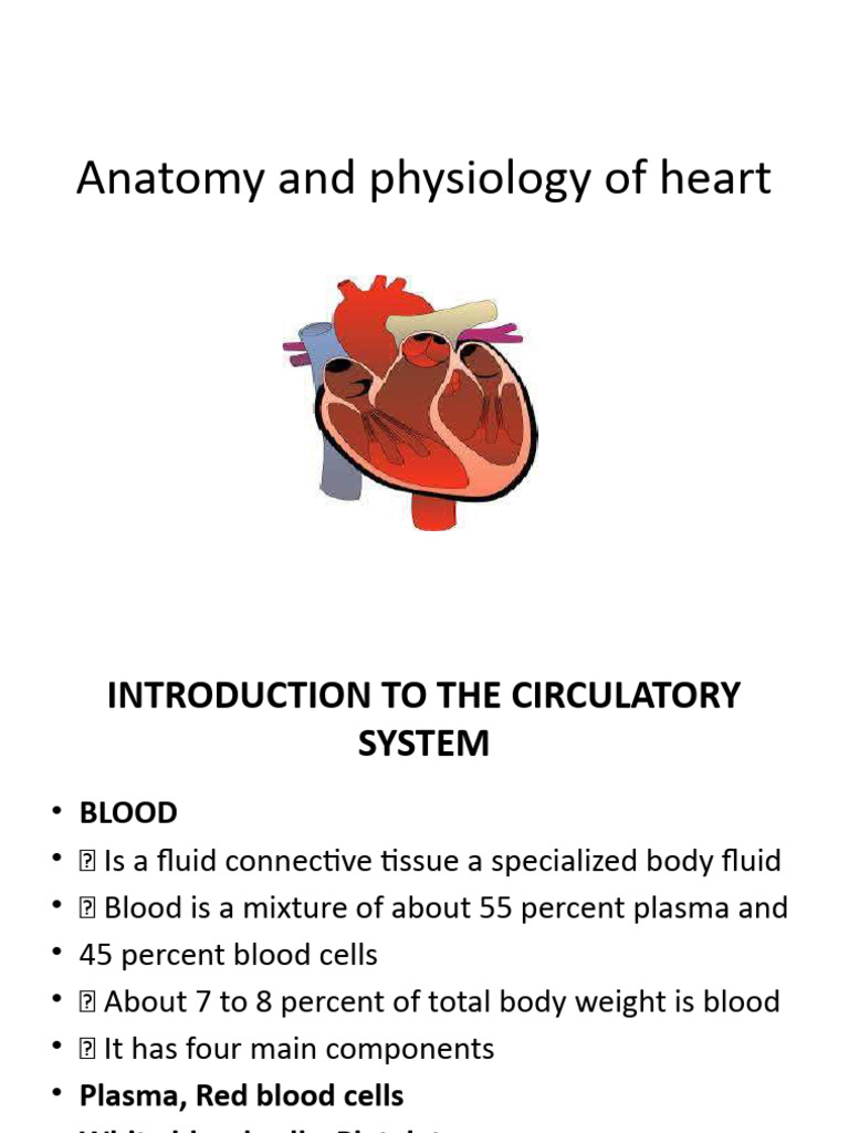 Anatomy and Physiology of the Heart | PDF | Heart Valve | Heart