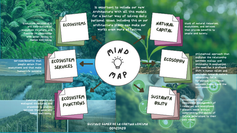 Mind Map | PDF | Ecosystem | Ecology