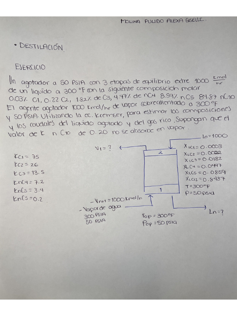 Alexa Giselle Molina Pulido | PDF