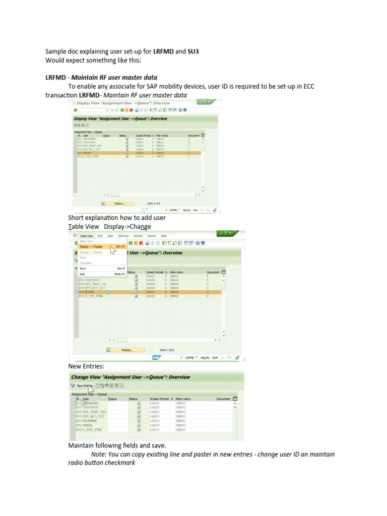 RF Mobility Guide User Set-Up and Mobility SAP Address | PDF