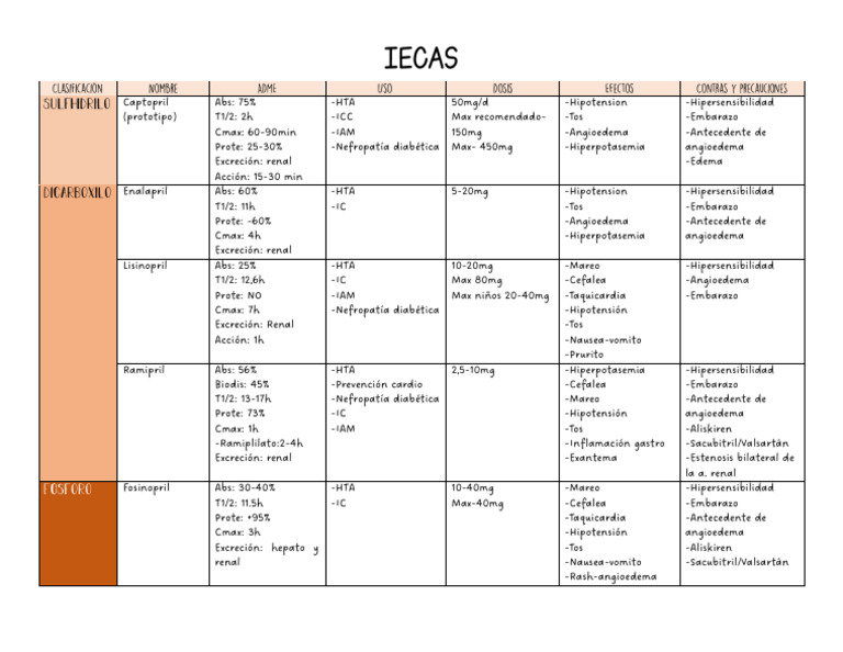 IECAS | PDF