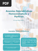 Hemosiderina y Hemosiderosis: Diagnóstico y Efectos | PDF