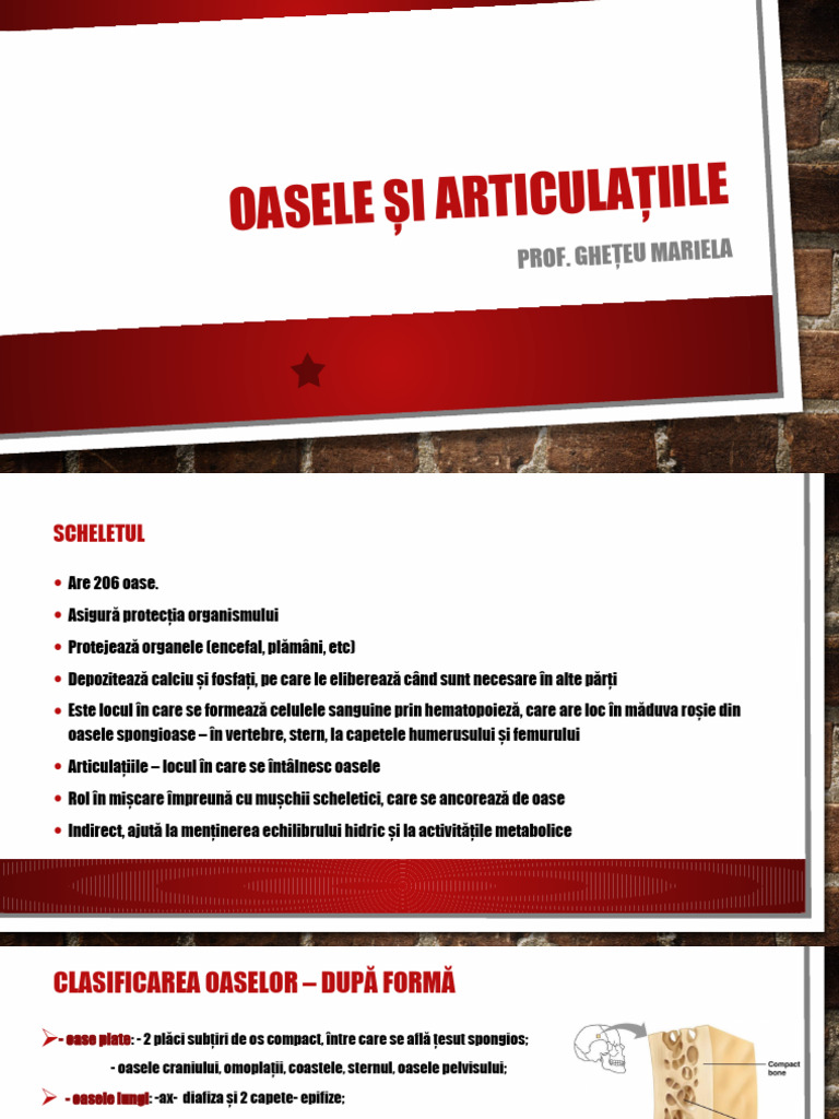 6 Oase Articulatii | PDF