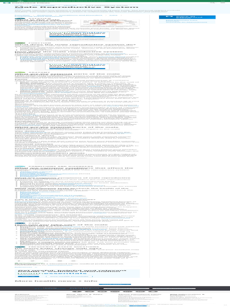 Male Reproductive System Structure & Function | PDF