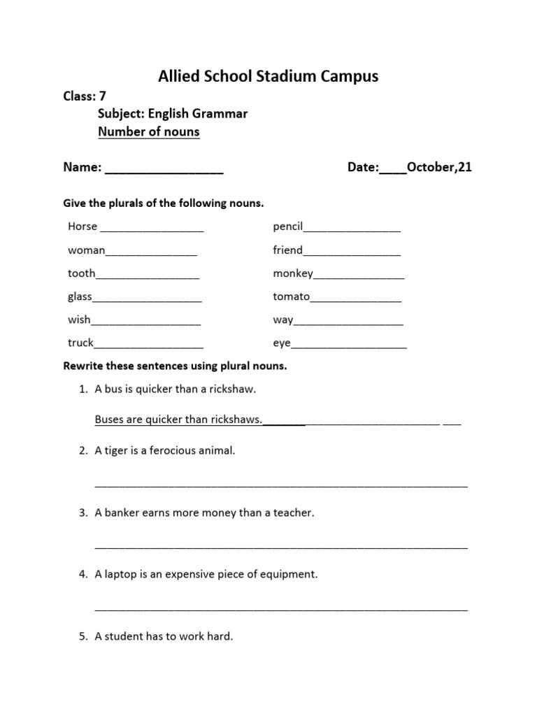 Class 7 Number of Noun | PDF