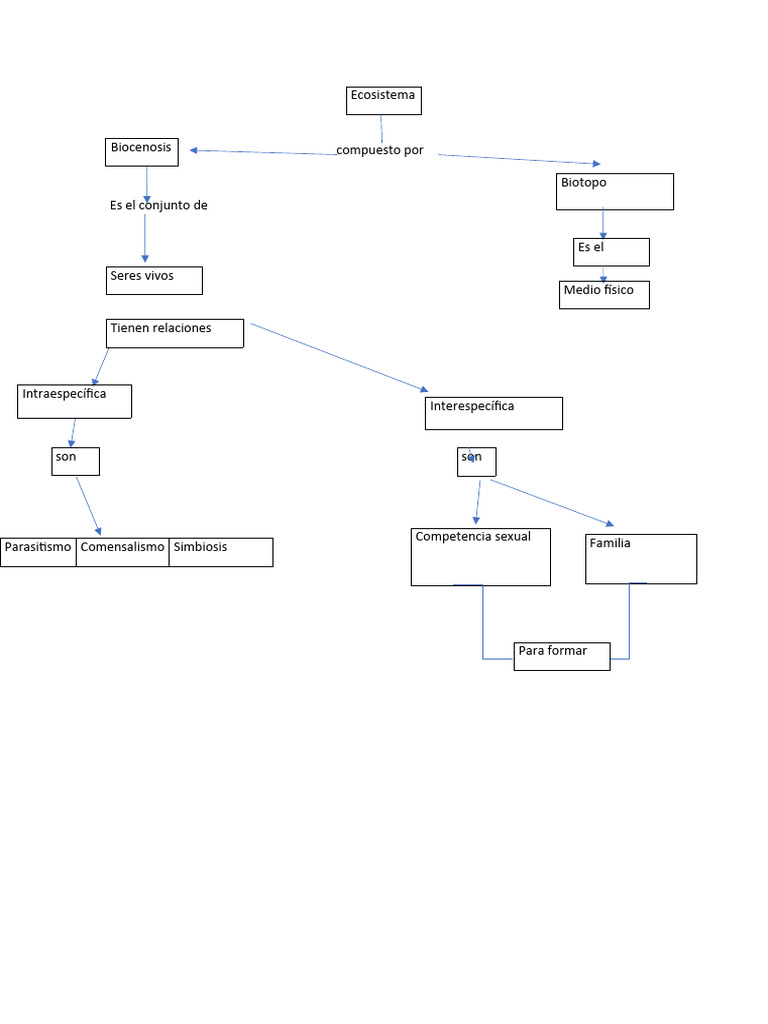 Mapa Conceptual Sobre La Estructura y Dinámica de Un Ecosistema | PDF