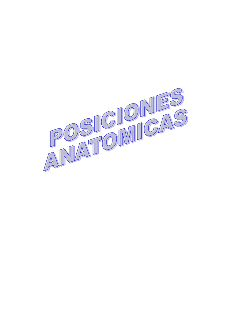 Posiciones Anatomicas | PDF