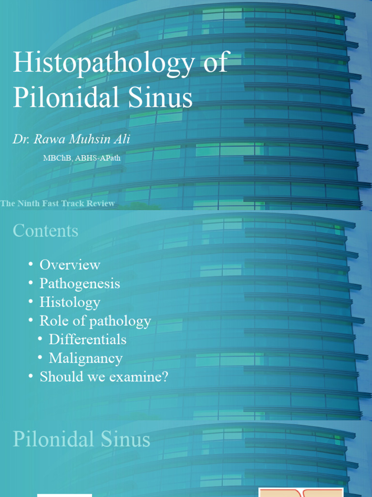Histopathology of Pilonidal Sinus | PDF