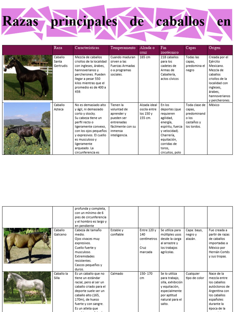 Razas de Caballos en Mexico | PDF | Caballos | Équidos