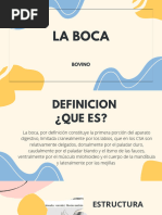 Anatomía de la Faringe y Laringe en Perros | PDF | Laringe ...