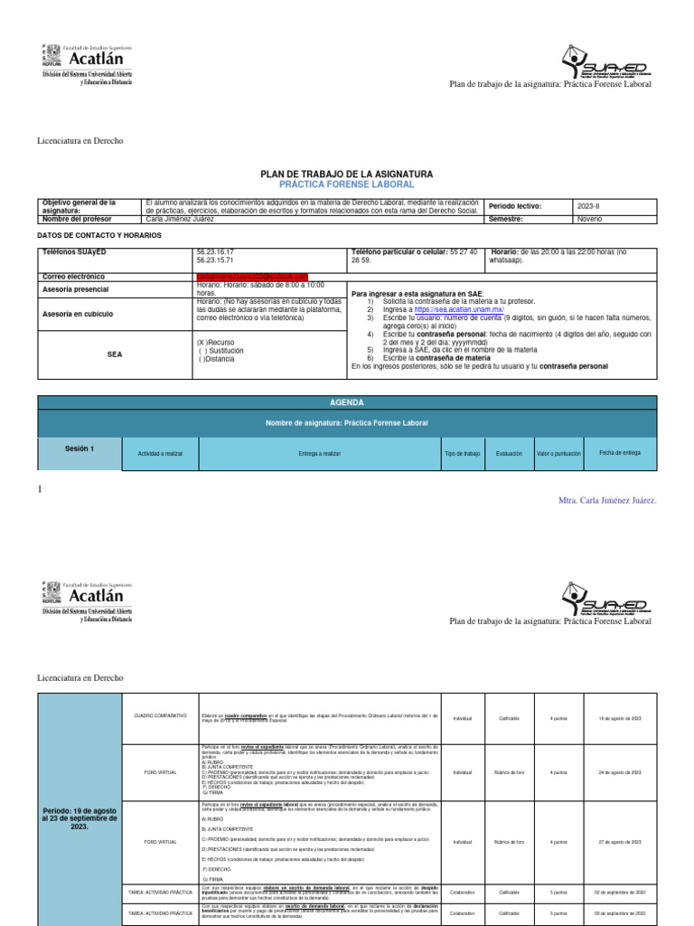 Plan de Trabajo 9902 Practica Forense Laboral 2024-I | PDF | Contraseña