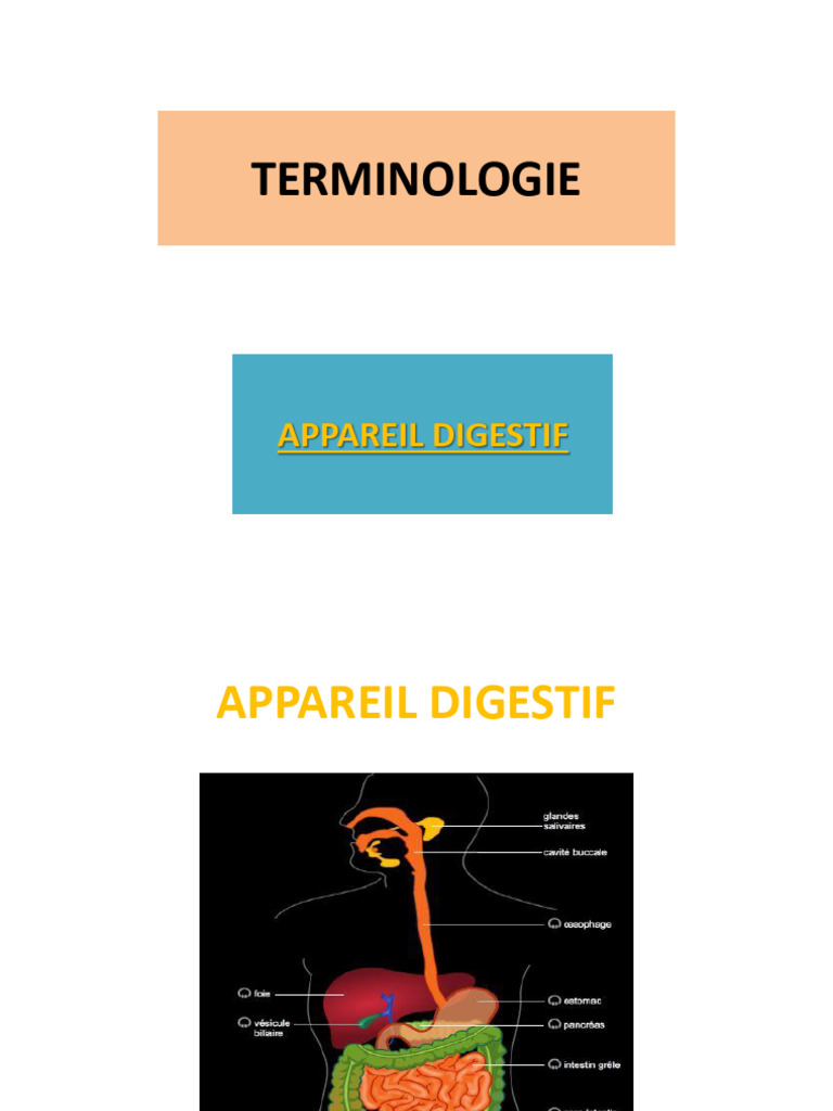 terminologie médicale | PDF