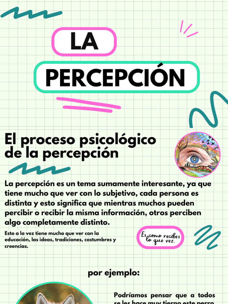 Percepción: Un Enfoque Psicológico | PDF | Percepción | Comportamiento