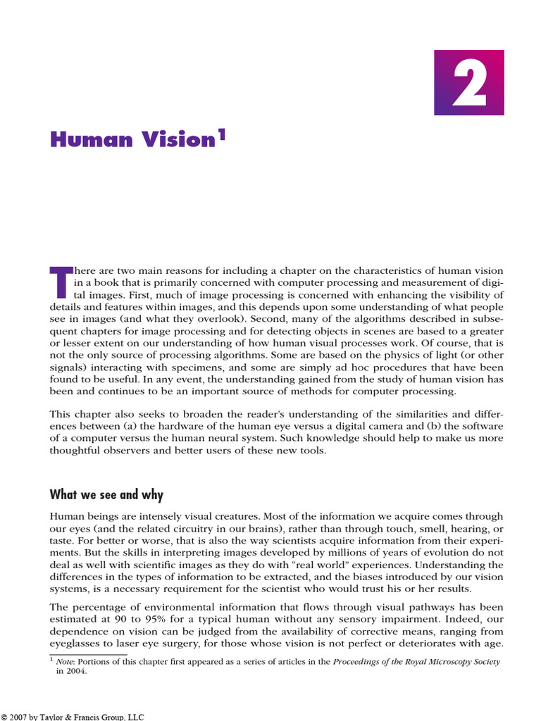 02 - Human Vision | Download Free PDF | Color | Contrast (Vision)