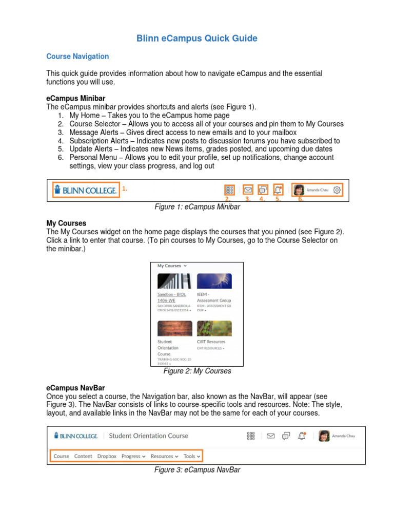 Blinn ECampus Quick Guide | PDF | Computer File | Internet Forum