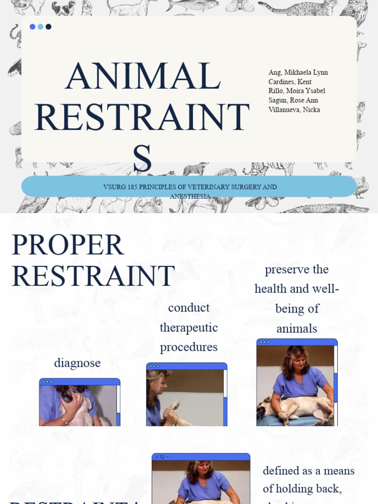 Animal Restraint | PDF | Cattle | Cats
