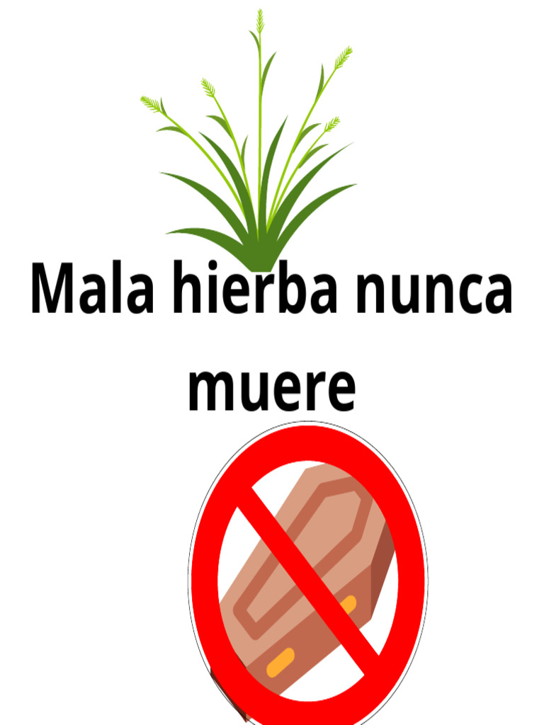 Mala hierba nunca muere | PDF