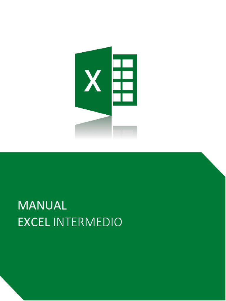 Manual Excel Intermedio | PDF | Microsoft Excel | Fórmula