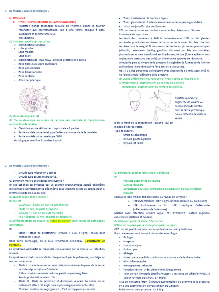 Bible Chirurgie Schemas-1 | PDF