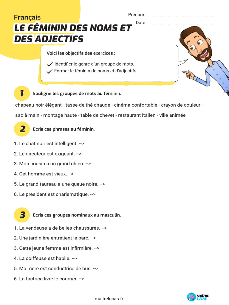 Feminin Des Adjectifs Et Des Noms | PDF