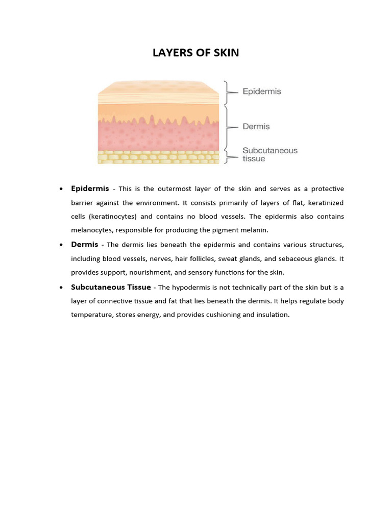 Layers of Skin | PDF