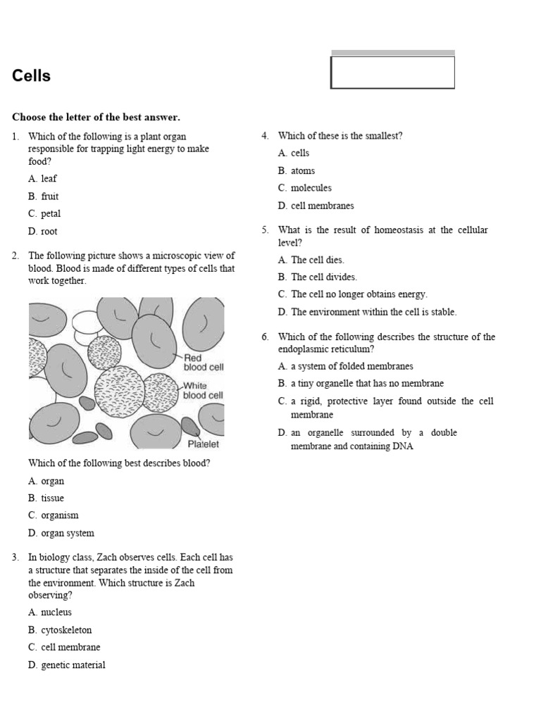 Cells Process Questions | Download Free PDF | Cell (Biology) | Cell ...