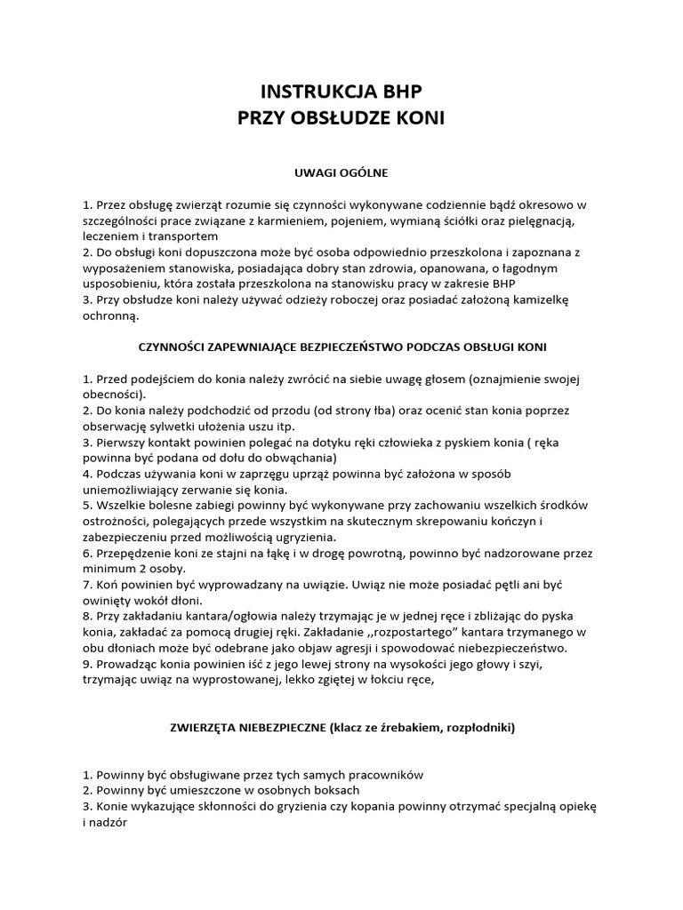 Instrukcja BHP | PDF
