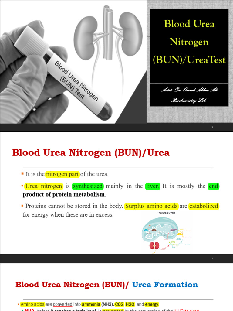 Lab 5 Lec - Urea 2 | PDF | Urea | Medical Specialties