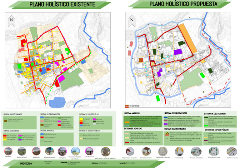 Plano Holístico | PDF
