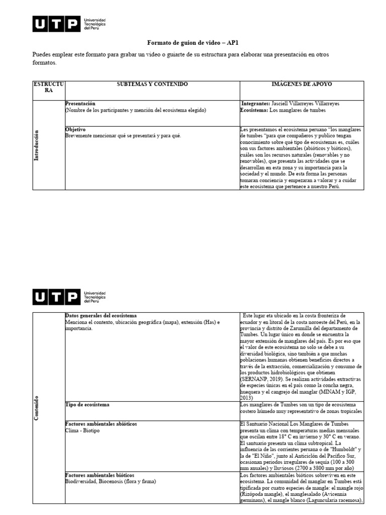 Semana 05 - Word - Formato de Guion de Video AP1 | PDF