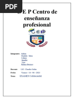 Perímetro Torácico | PDF | Salud y bienestar | Ciencia y matemáticas