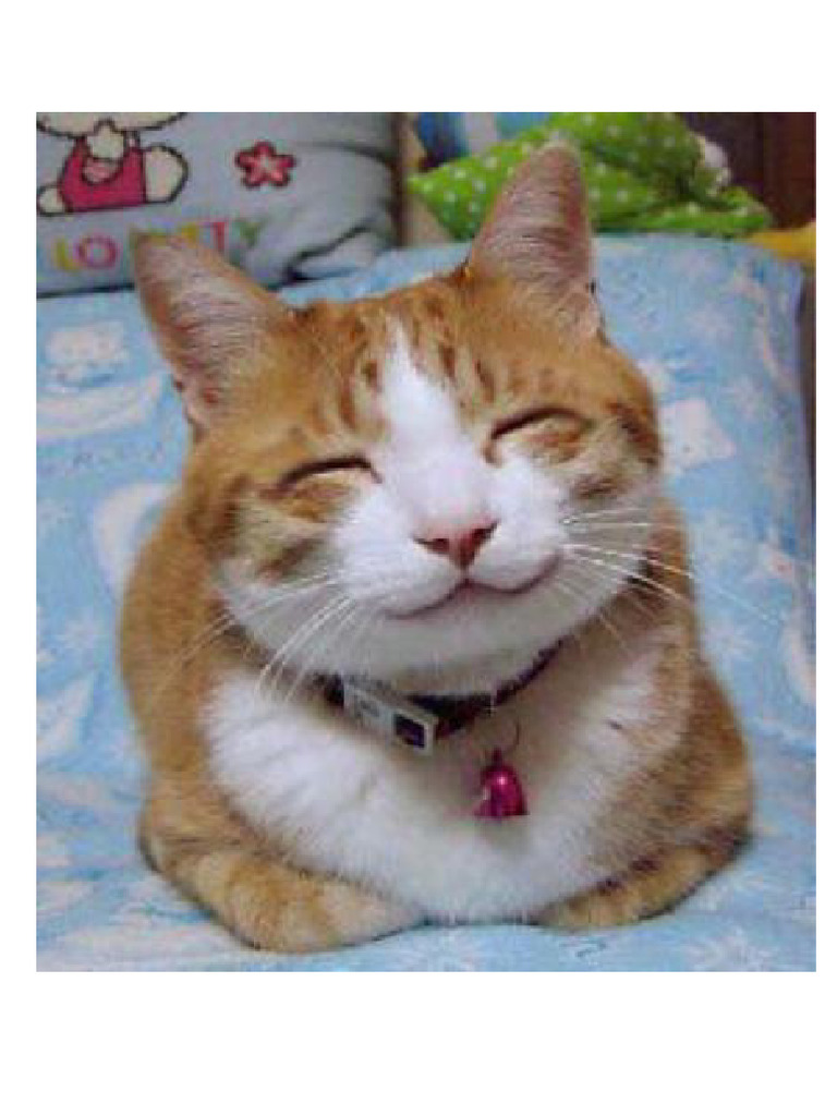 Adoption Papers | PDF