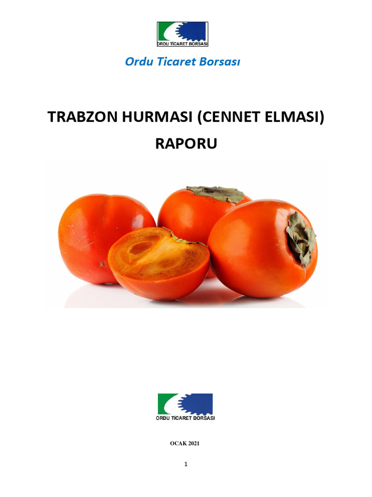 Trabzon Hurmasi Guncel | PDF Trabzon Hurmasi Guncel | PDF