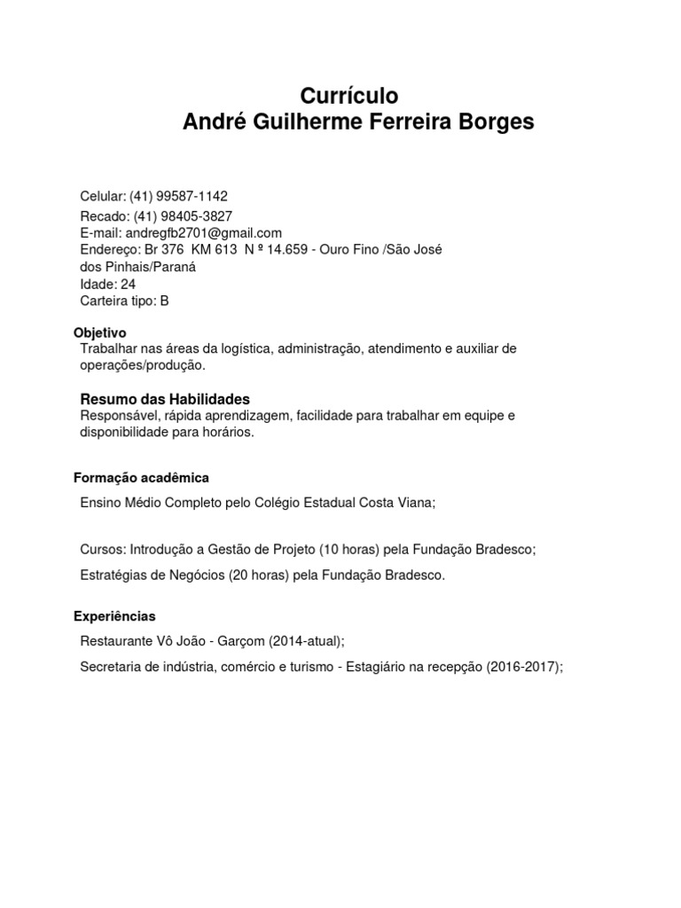 Currículo - André Ferreira | PDF