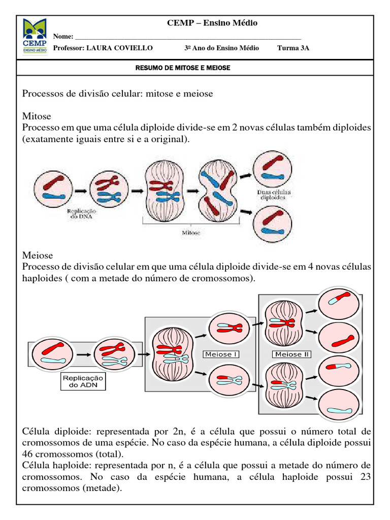 Biologia II Resumo de Mitose e Meiose 3º Ano | PDF